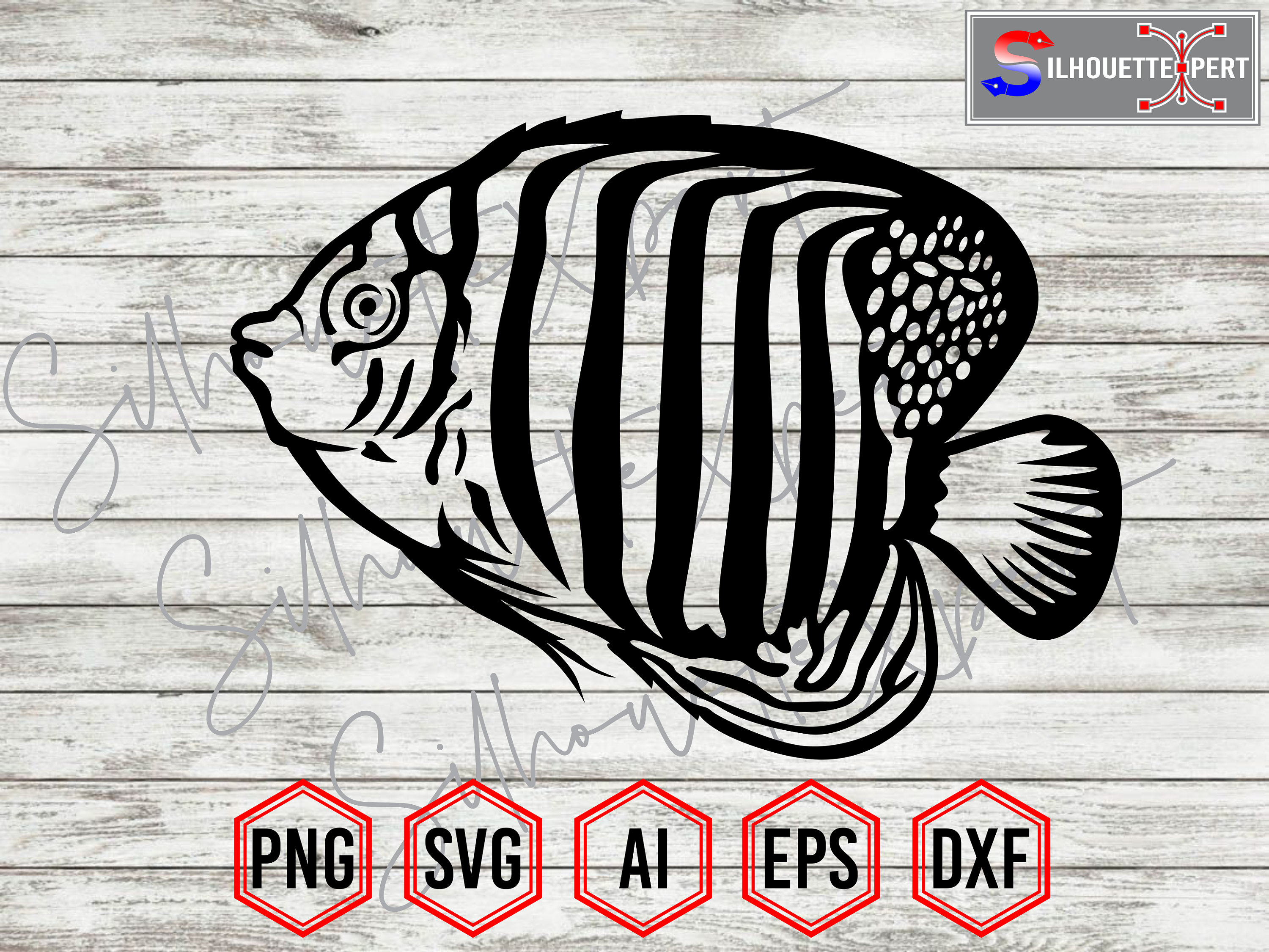 Angel Fish Svg Aquarium Fish Svg Fish Svg Koi Svg - Etsy