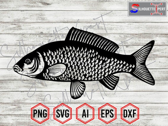 Carp Fish Svg Gold Fish Carp Svg Koi Svg Clipart - Etsy