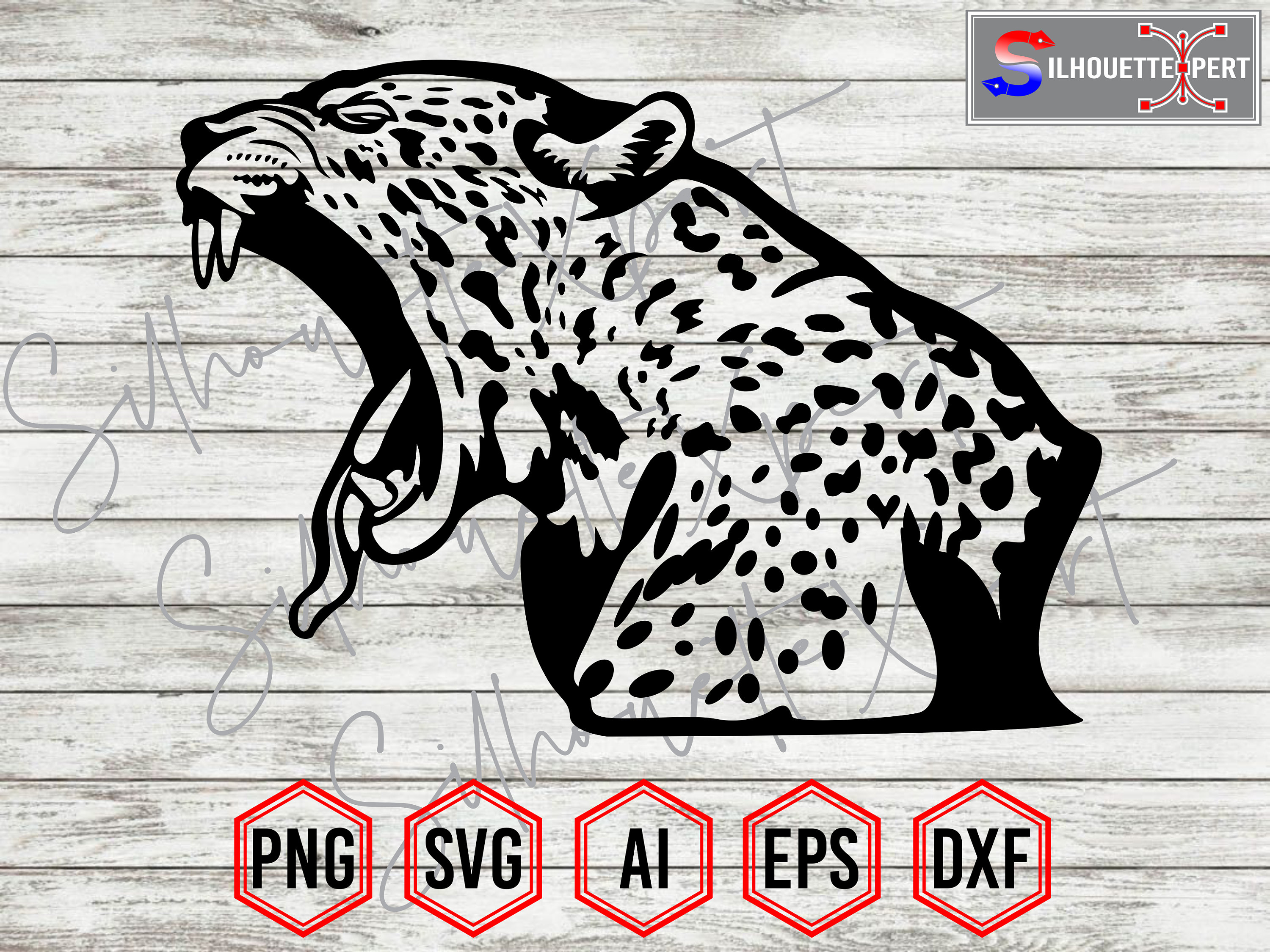 Angry Leopard Drawing