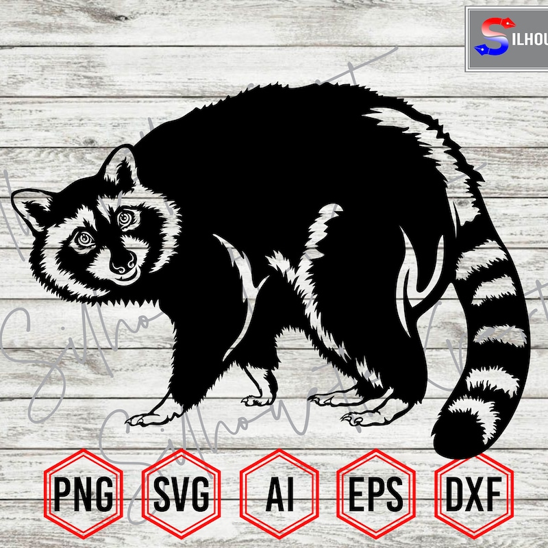 Racoon Svg - Etsy