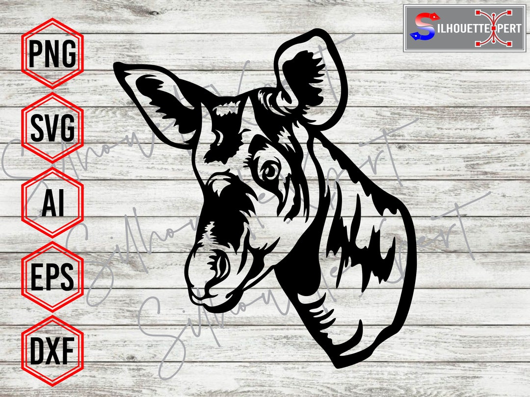 Okapi Svg Okapi Head Svg Animal Svg Clipart Cricut CNC - Etsy