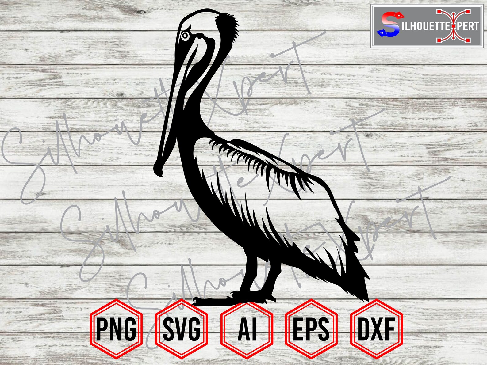 Standing Pelican Svg Pelican Svg Silhouette 2 Clipart - Etsy