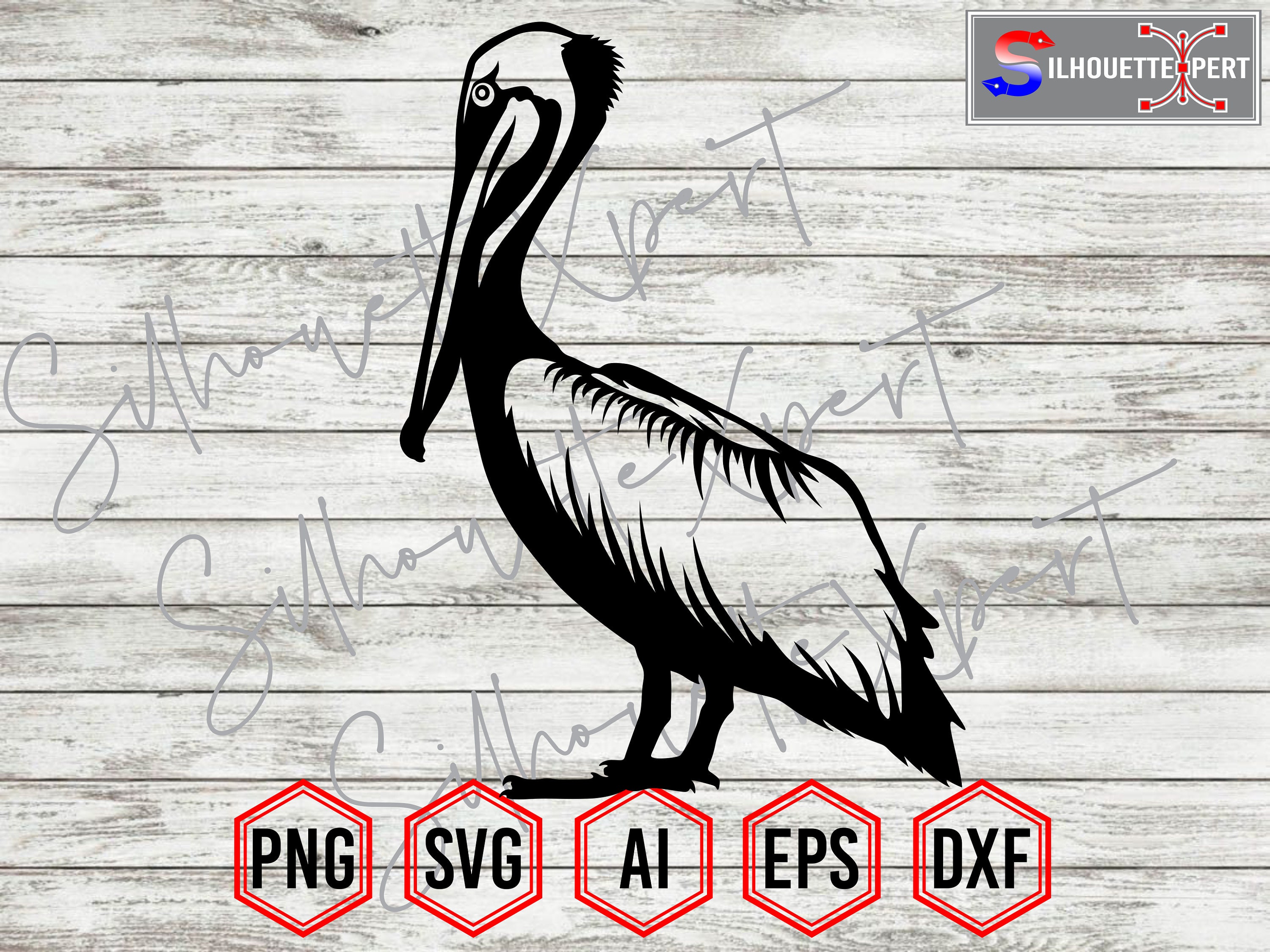 Standing Pelican Svg Pelican Svg Silhouette 2 Clipart - Etsy