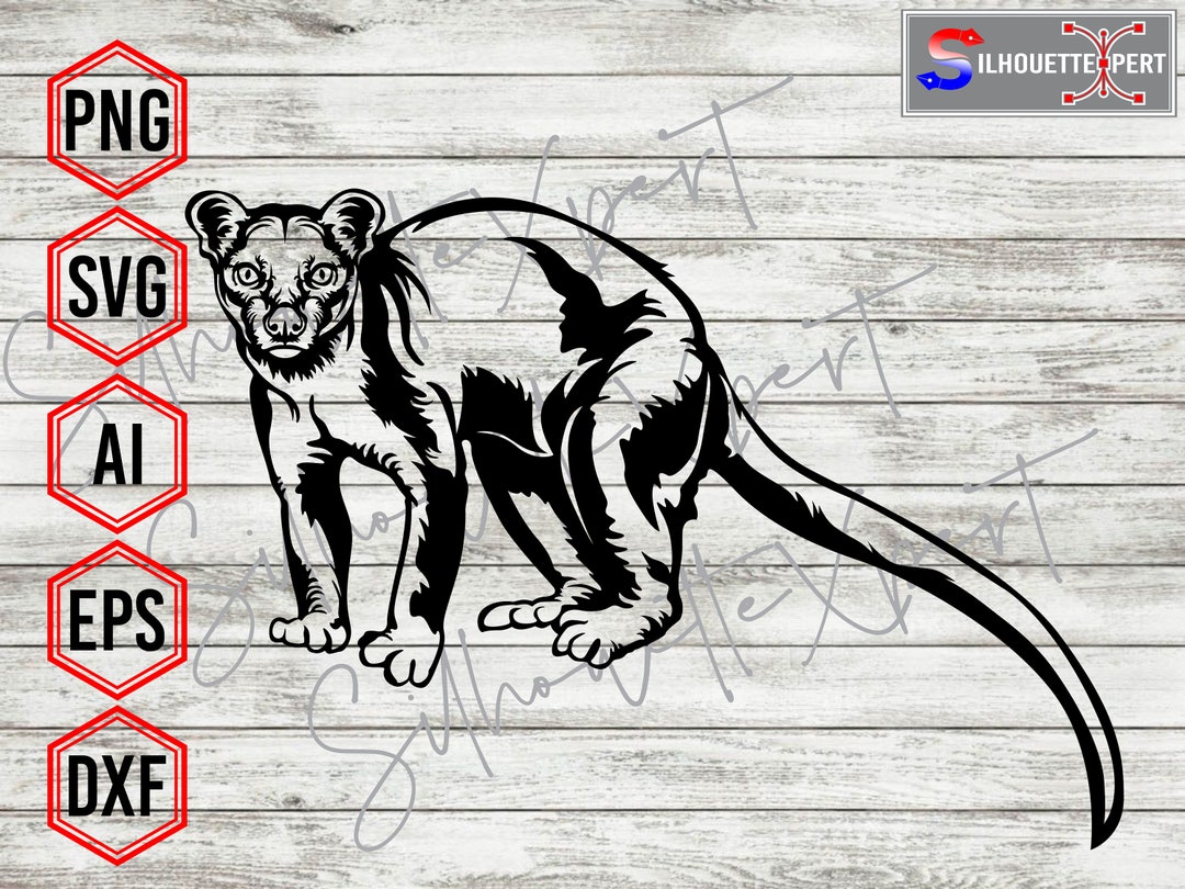 Standing Fossa Svg, Fossa Head Svg, Animal Svg, Wildlife Svg Clipart ...
