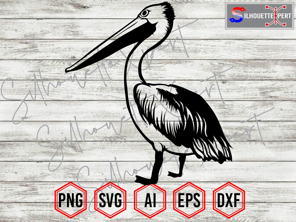 Standing Pelican Svg, Pelican Hunting Svg, Pelican Svg, Silhouette ...