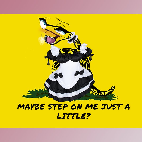 No Step on Snake Flag - Etsy