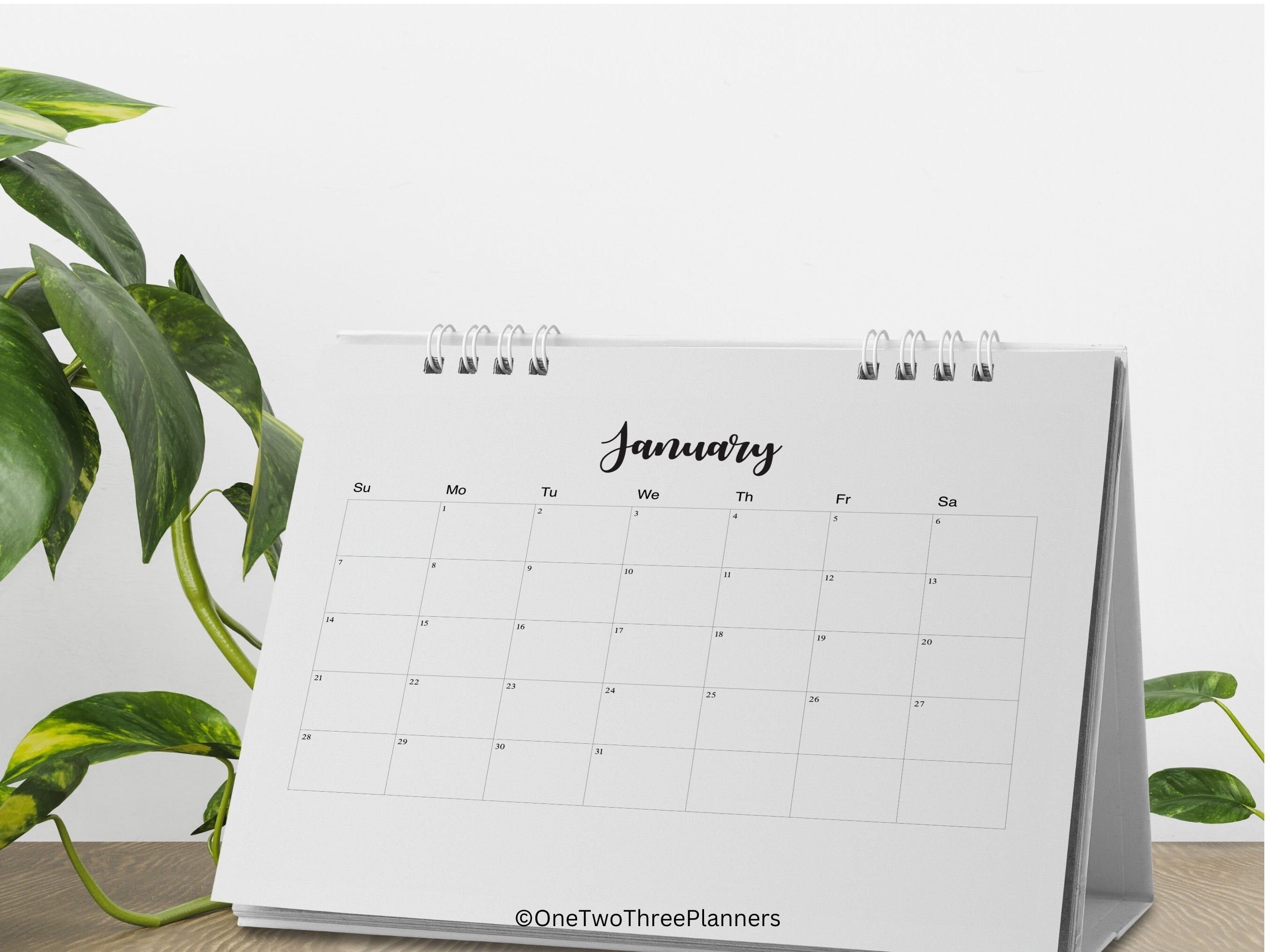 2024 Minimalist Printable Calendar 12-month Planner Sun & Mon Start A4 ...