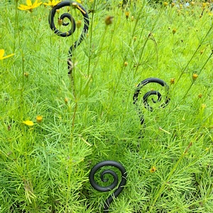 Hand-forged Decorative Fiddlehead Garden Ornaments set of 3 - Etsy