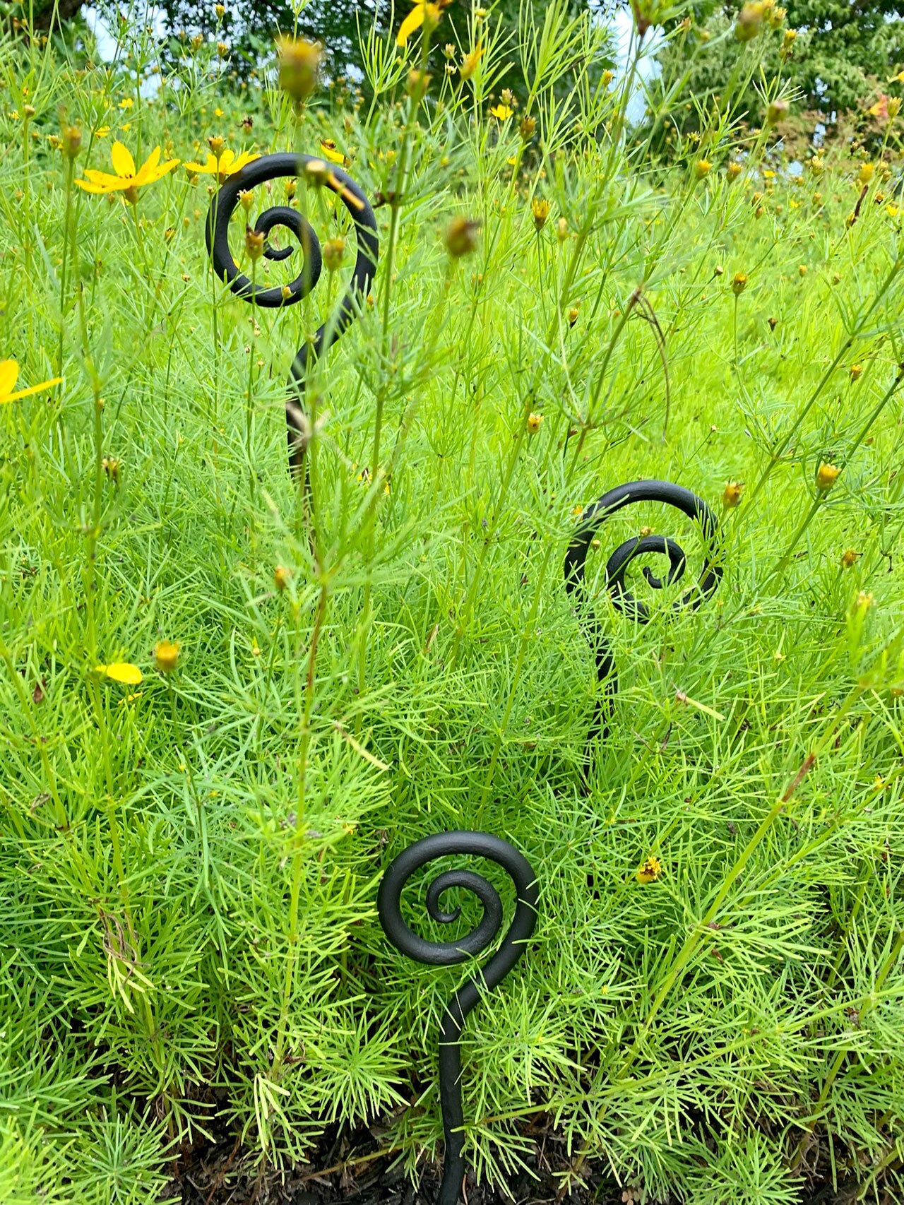 Hand-forged Decorative Fiddlehead Garden Ornaments set of 3 - Etsy