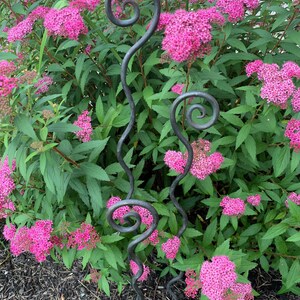 Hand-forged Spiral Decorative Garden Stakes (set of 3) - Etsy
