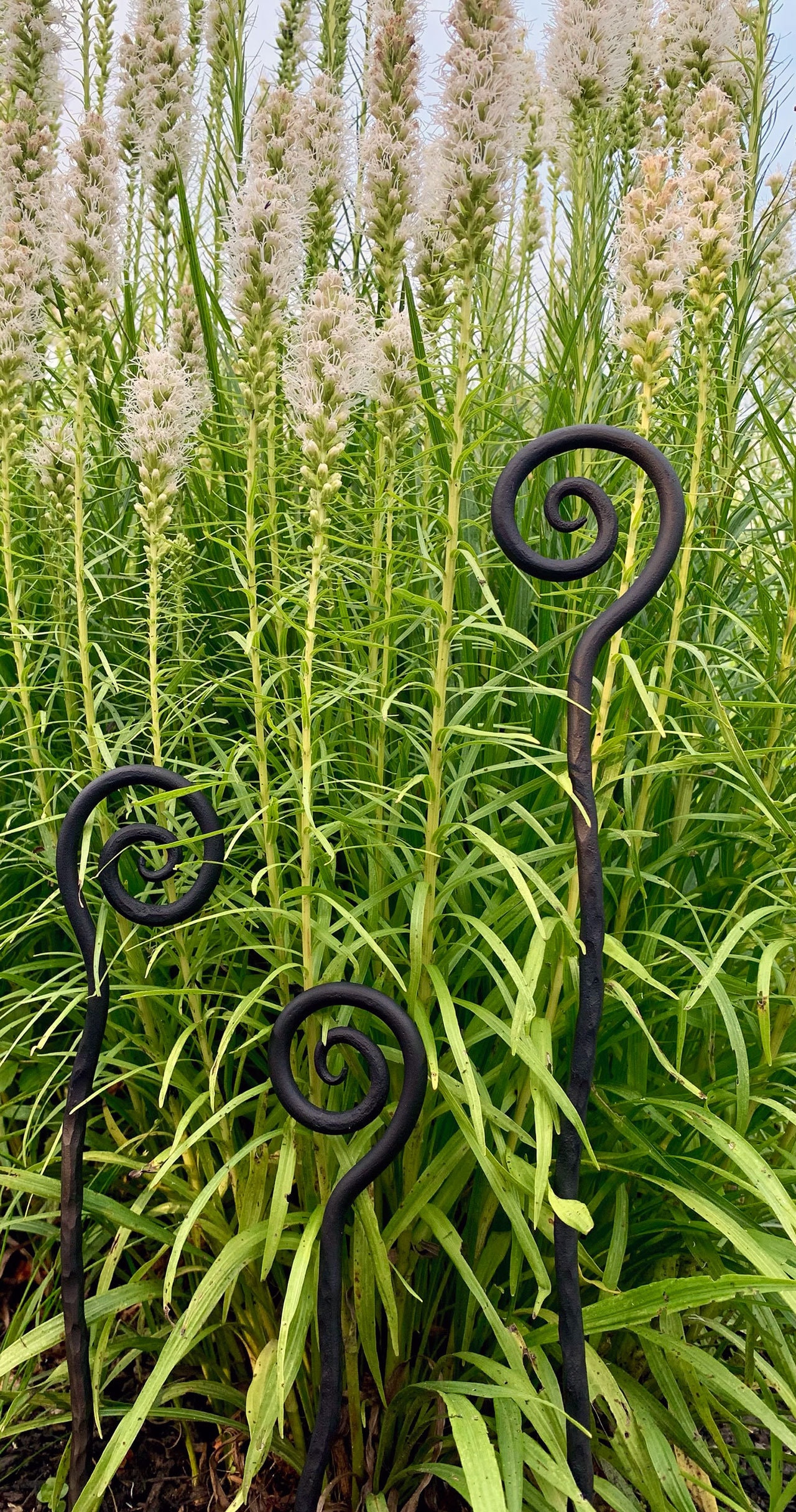 Hand-forged Decorative Fiddlehead Garden Ornaments set of 3 - Etsy