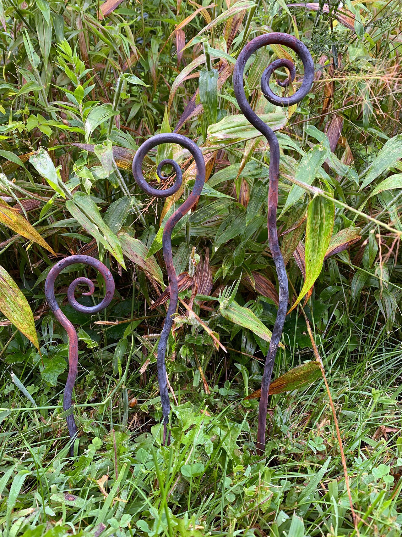 Hand-forged Decorative Fiddlehead Garden Ornaments set of 3 - Etsy