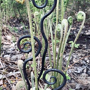 Hand-forged Decorative Fiddlehead Garden Ornaments (set of 3) - Etsy