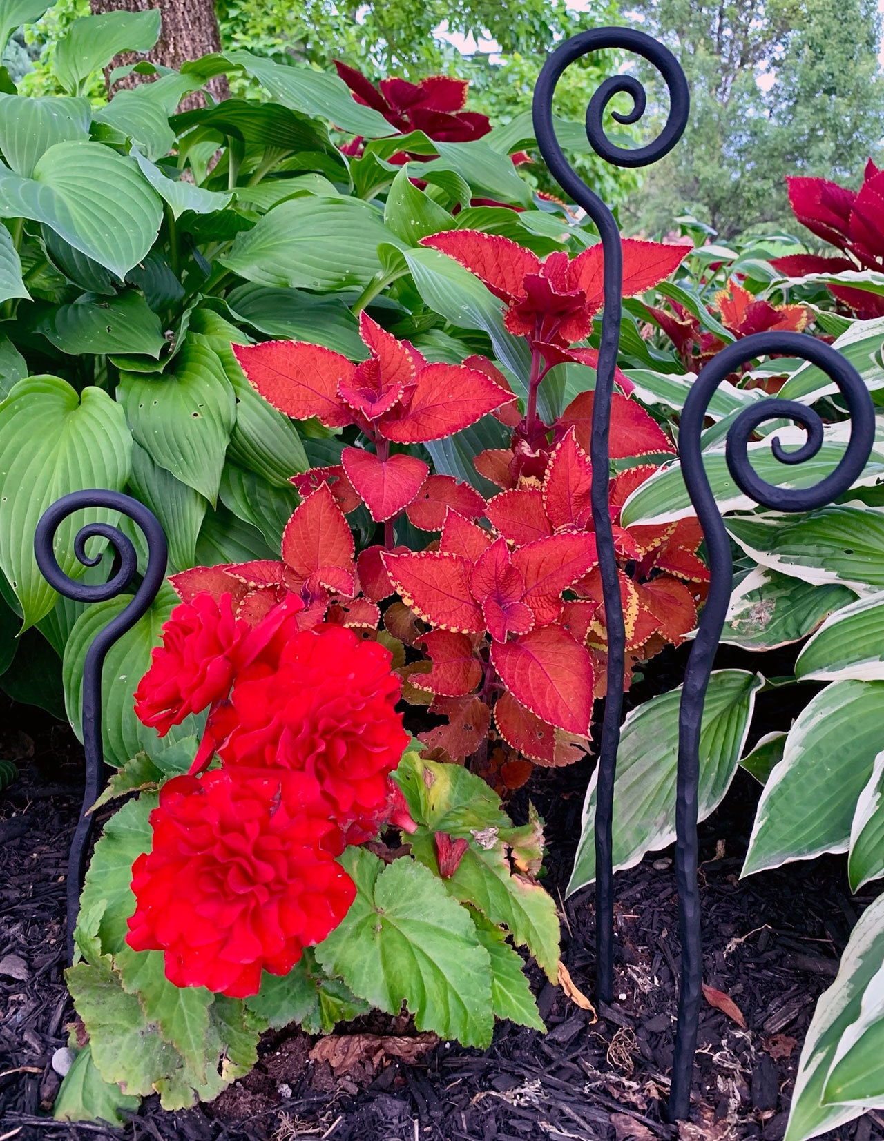 Hand-forged Decorative Fiddlehead Garden Ornaments set of 3 - Etsy