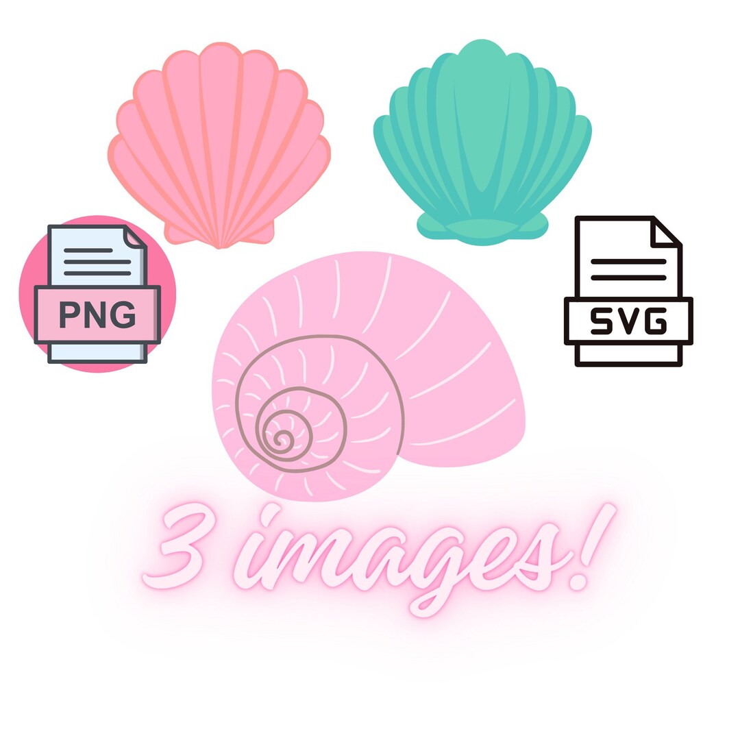 Seashell SVG Bundle, Seashell PNG Bundle, Seashell Clipart, Seashell ...
