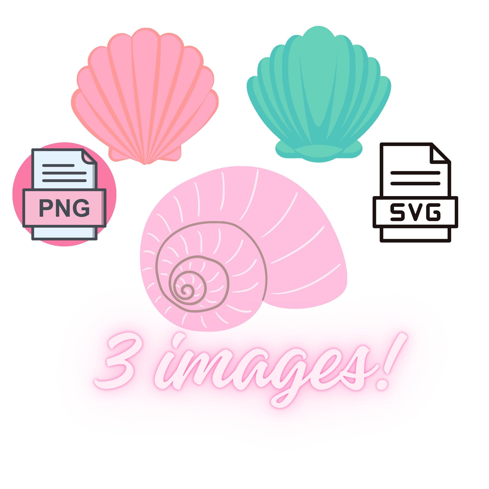 Seashell SVG Bundle, Seashell PNG Bundle, Seashell Clipart, Seashell ...
