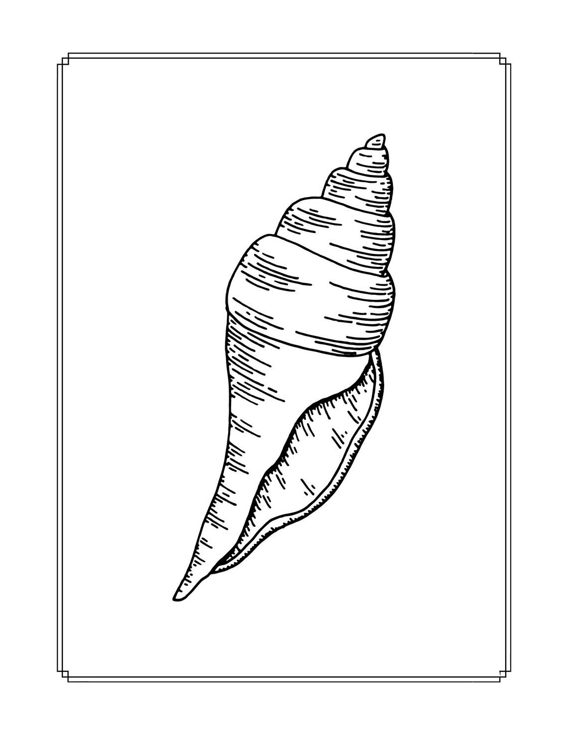 40 Sea Shells Coloring Pages for Teens and Adults:40 Printable ...