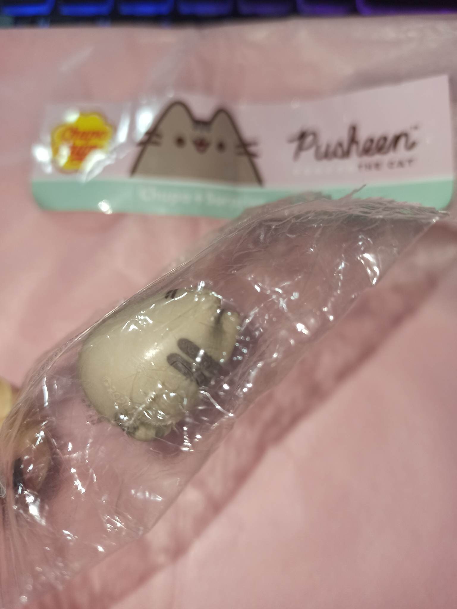 Chupa Chups Pusheen SURPRISE: Pusheen the Cat Figurine rare 1x ...