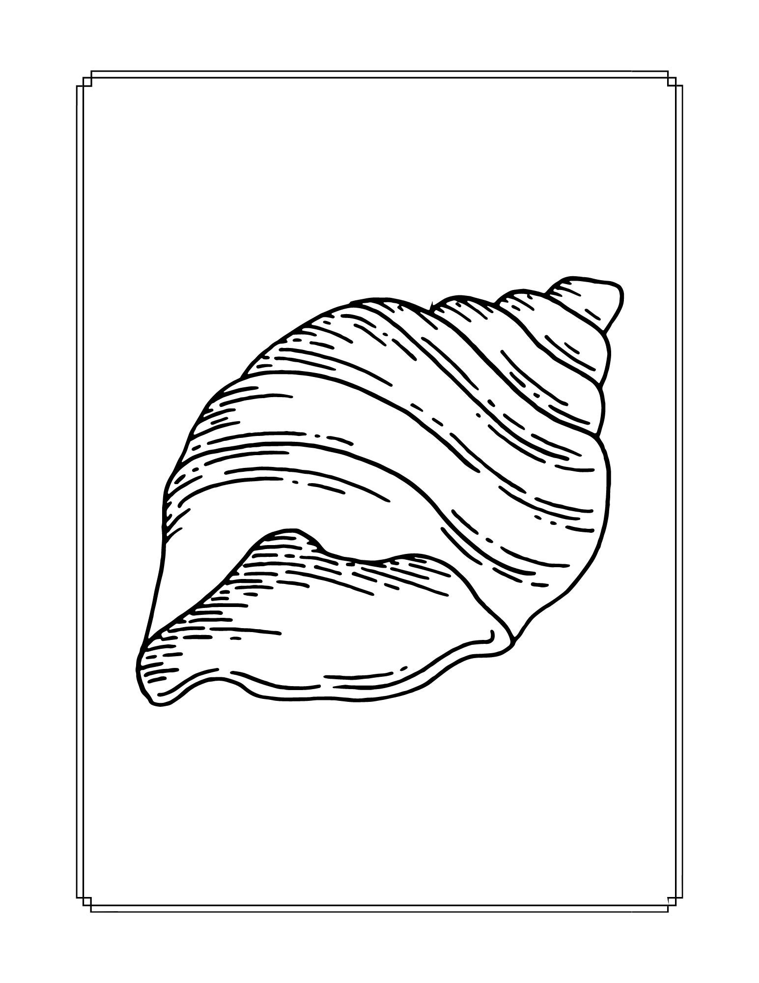 Printable Shells Coloring Pages Coloring Pages