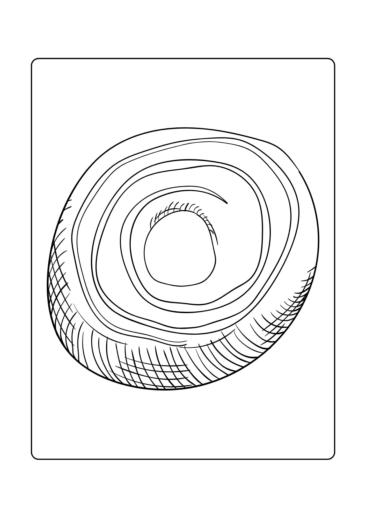 20 Page Donut Coloring Book Printable PDF PNG Files - Etsy