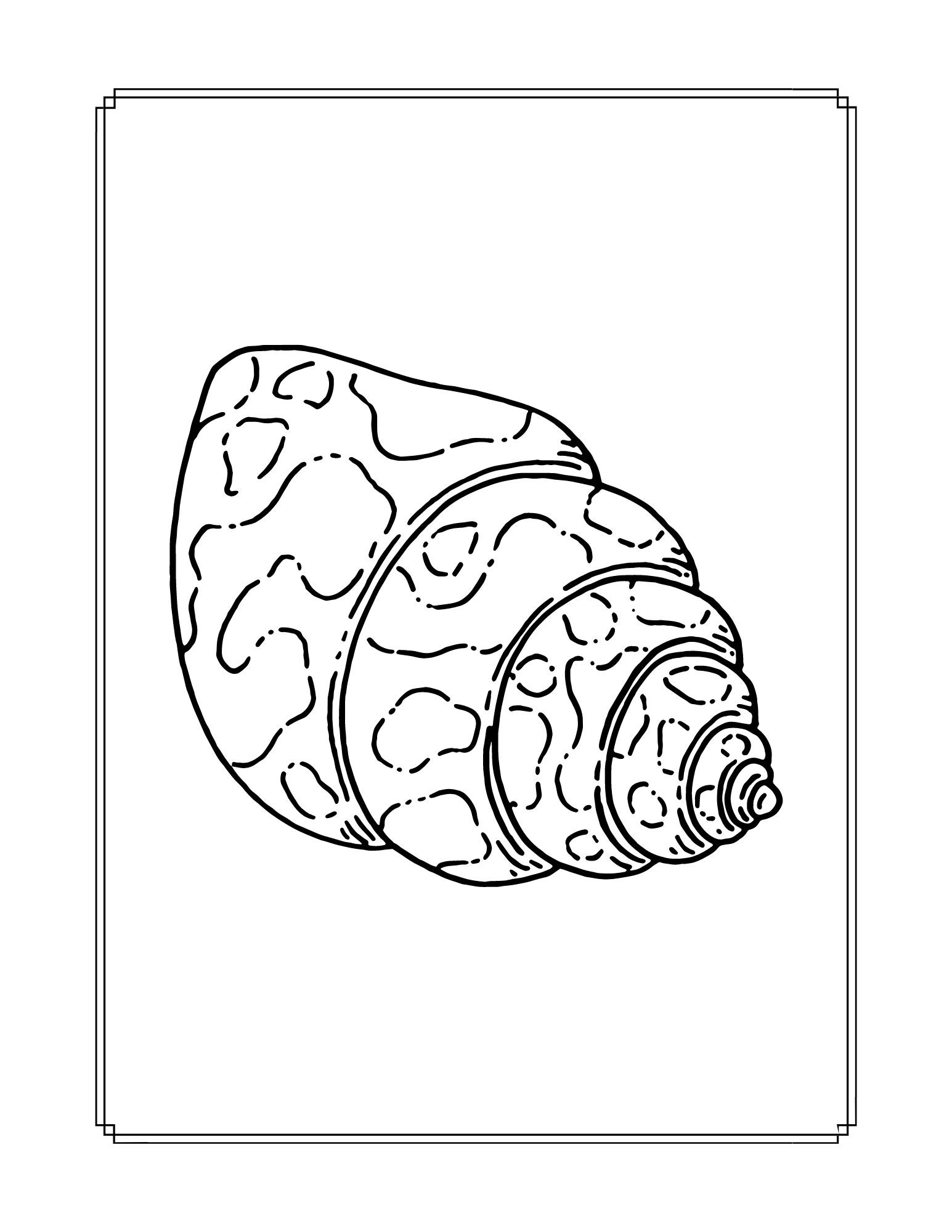 Shells Coloring Pages For Kids Coloring Pages