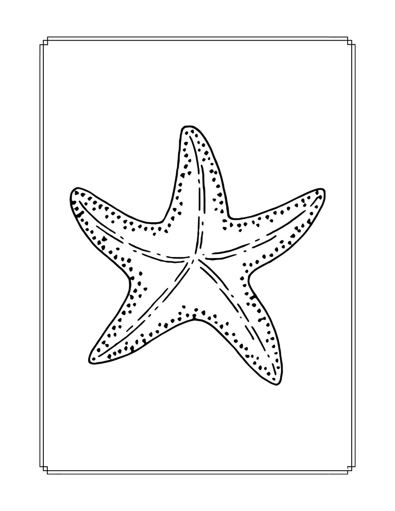 40 Sea Shells Coloring Pages for Teens and Adults:40 Printable ...