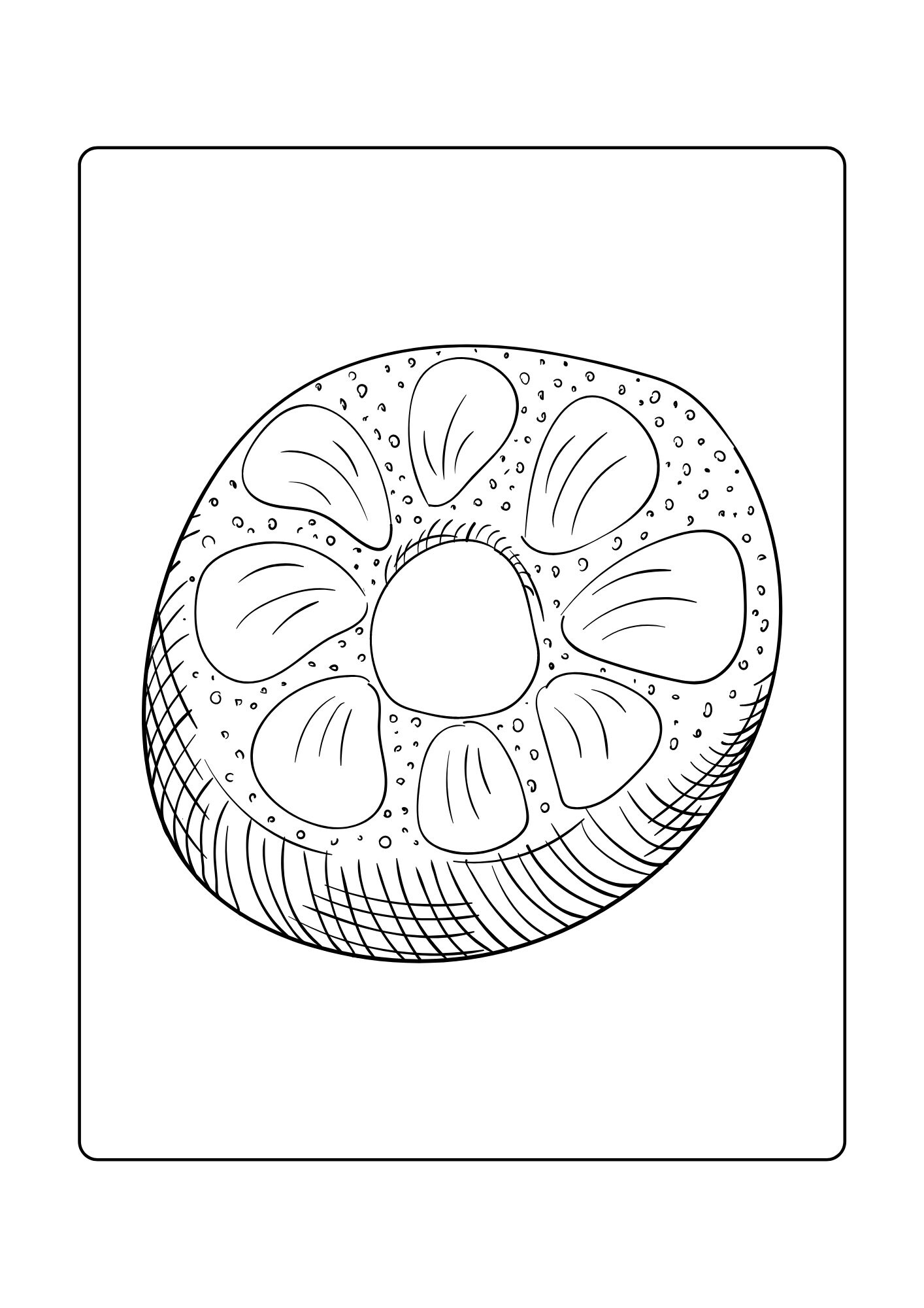 20 Page Donut Coloring Book Printable PDF PNG Files - Etsy