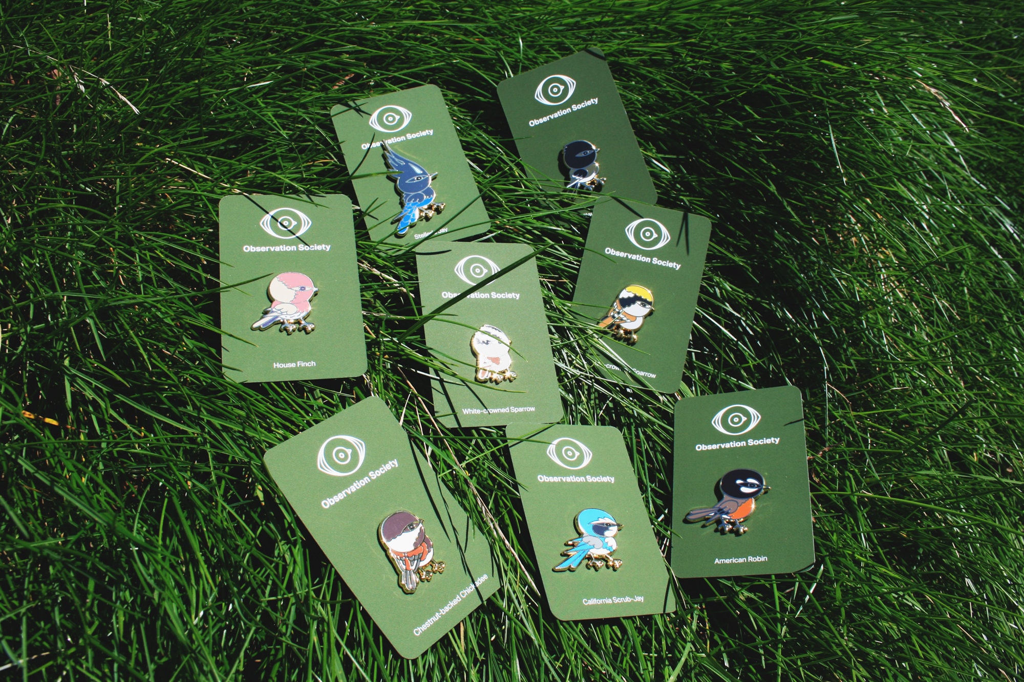 Collectible Bird Pins (north American Birds) - Etsy