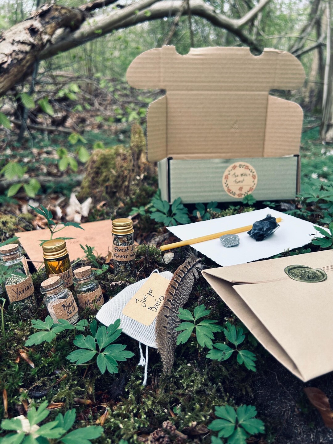 Witch’s Forest – Ritual Kit for Protection, Grounding & Wild Magic ...