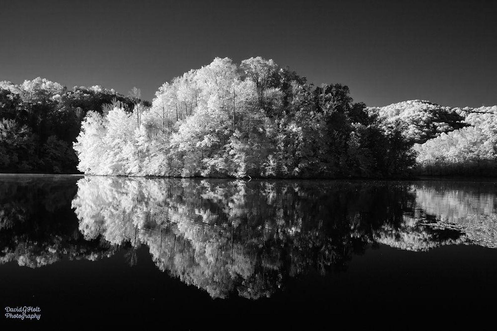 Autumn Sunrise West Virginia Trees Lake Reflections Black and White ...