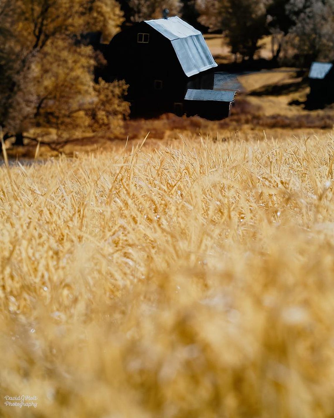 Hidden Barns in a Magical Valley Color Infrared Photography 3 of 3 - Etsy
