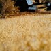 Hidden Barns in a Magical Valley Color Infrared Photography 3 of 3 - Etsy