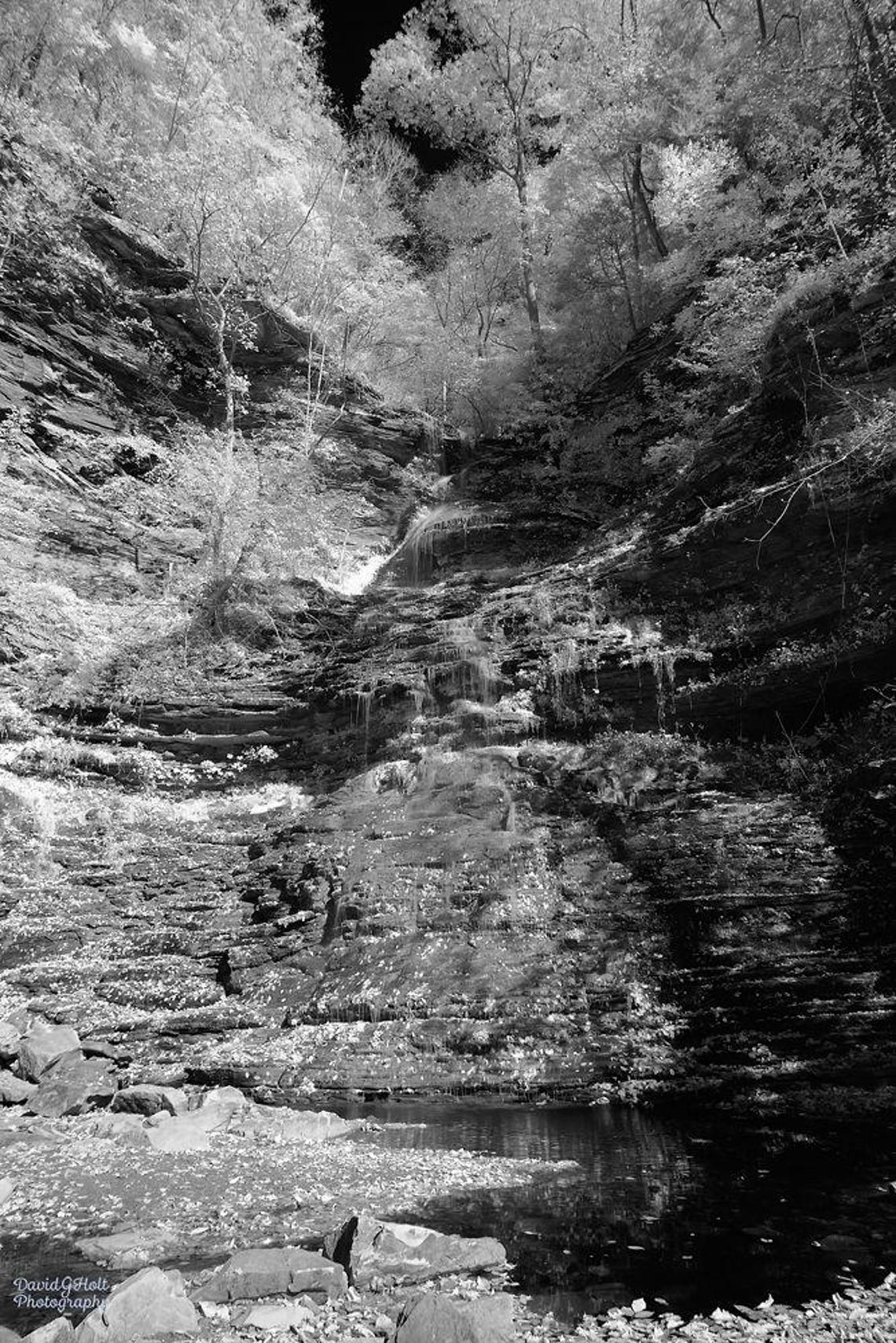 Can You Spot the Troll Taking a Shower Cathedral Falls West Virginia ...