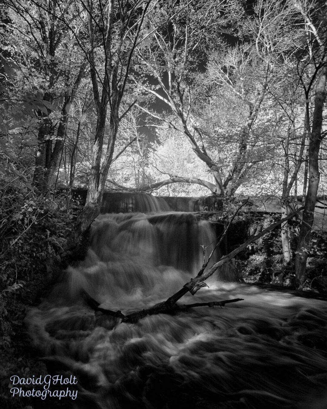 Autumn Infrared Art Print Fine Art Print Framed New England - Etsy