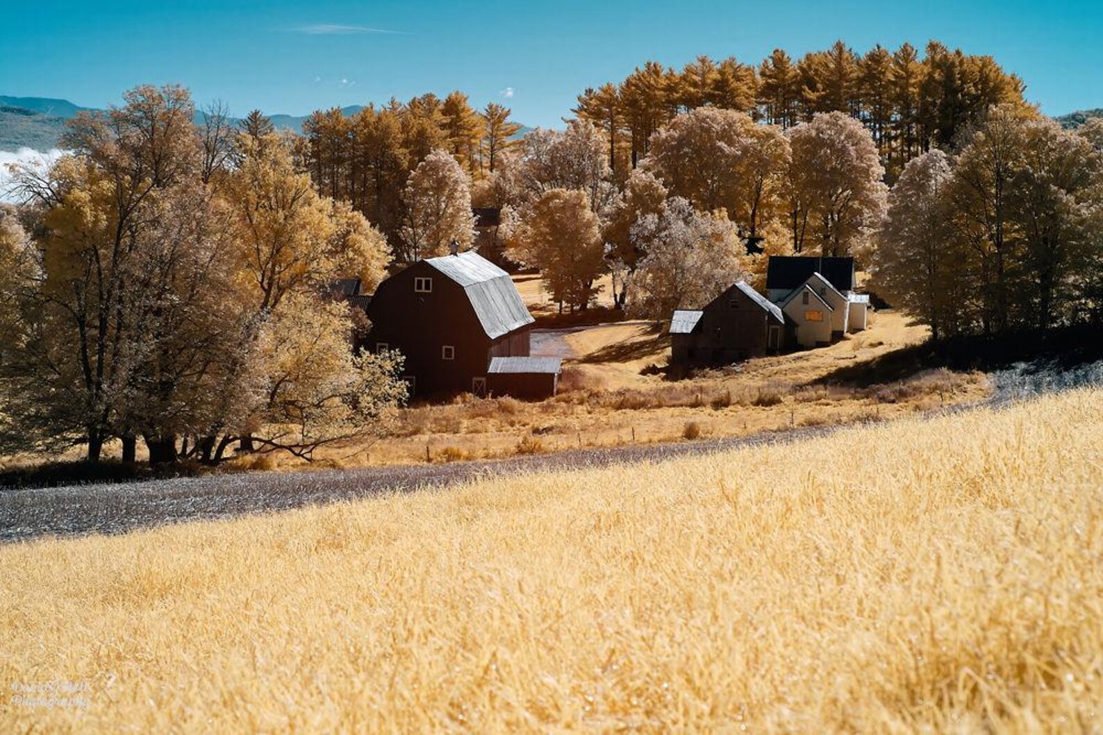 Hidden Barns in a Magical Valley Color Infrared Photography 2 of 3 - Etsy