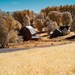 Hidden Barns in a Magical Valley Color Infrared Photography 2 of 3 - Etsy