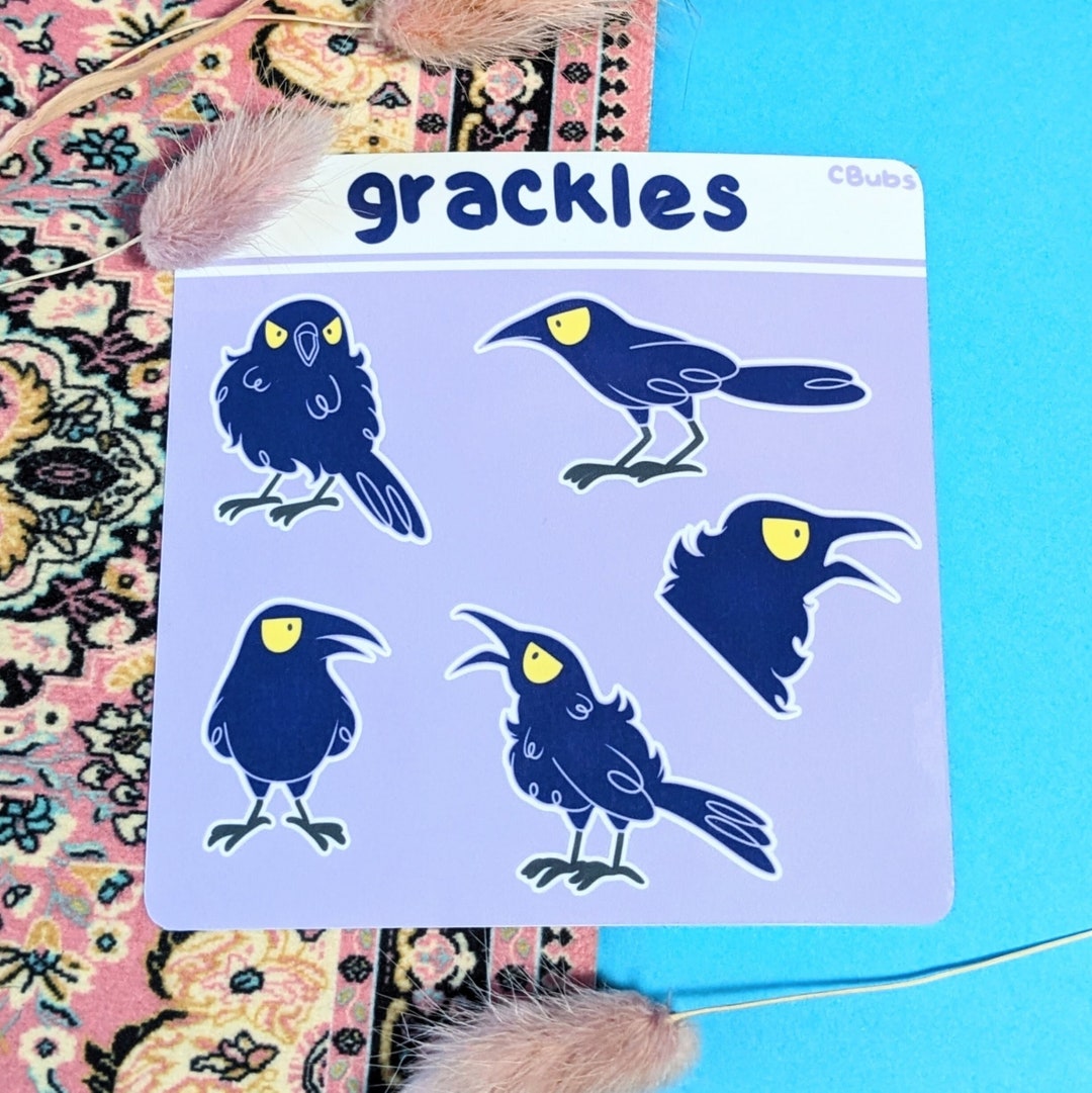 Grackle Sticker Pack - Etsy