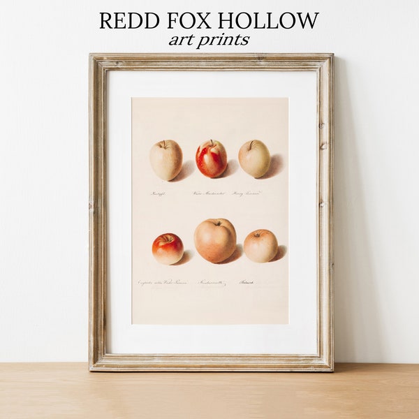 Vintage Apple Print - Etsy