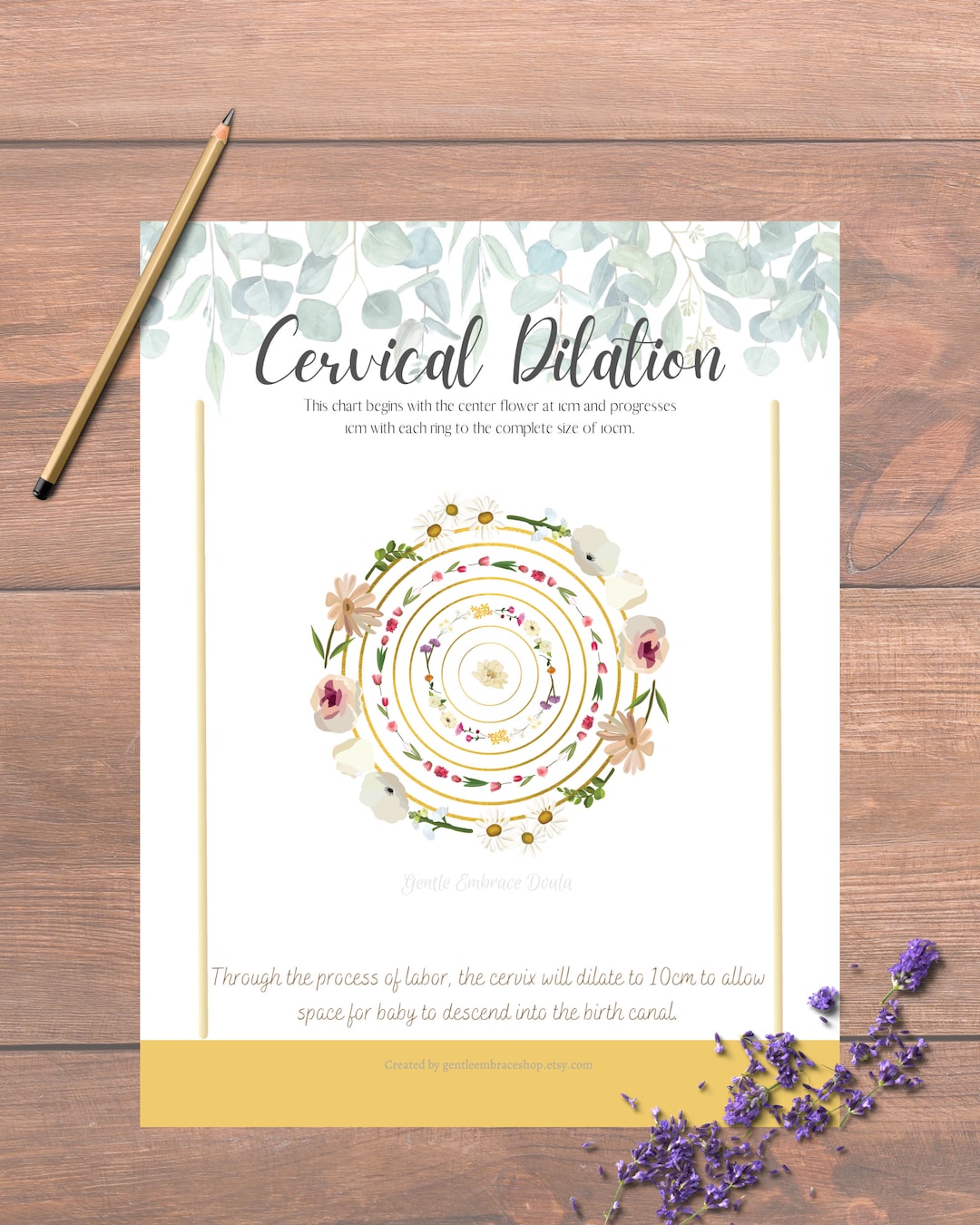 Dilation Chart, Cervical Dilation, Flower Cervix Dilation, Doula Tool ...