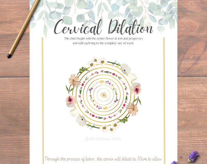 The Labor Process Effacement, Dilation, and Station Handout Printable ...