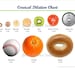 Cervical Dilation Chart, Cervix Chart, Doula, Midwife, Printable - Etsy