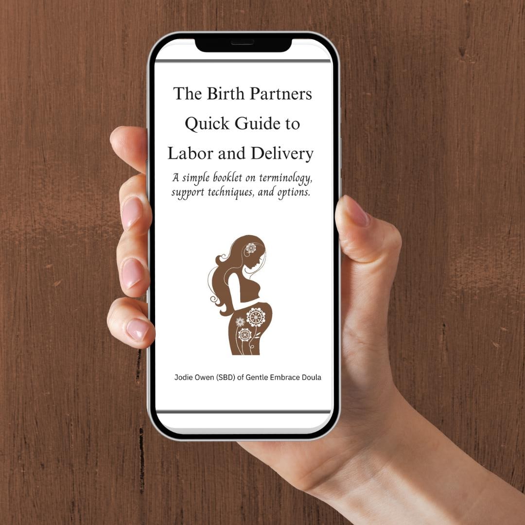 Digital Download Birth Partner Booklet, Labor Support Book, Quick Guide ...