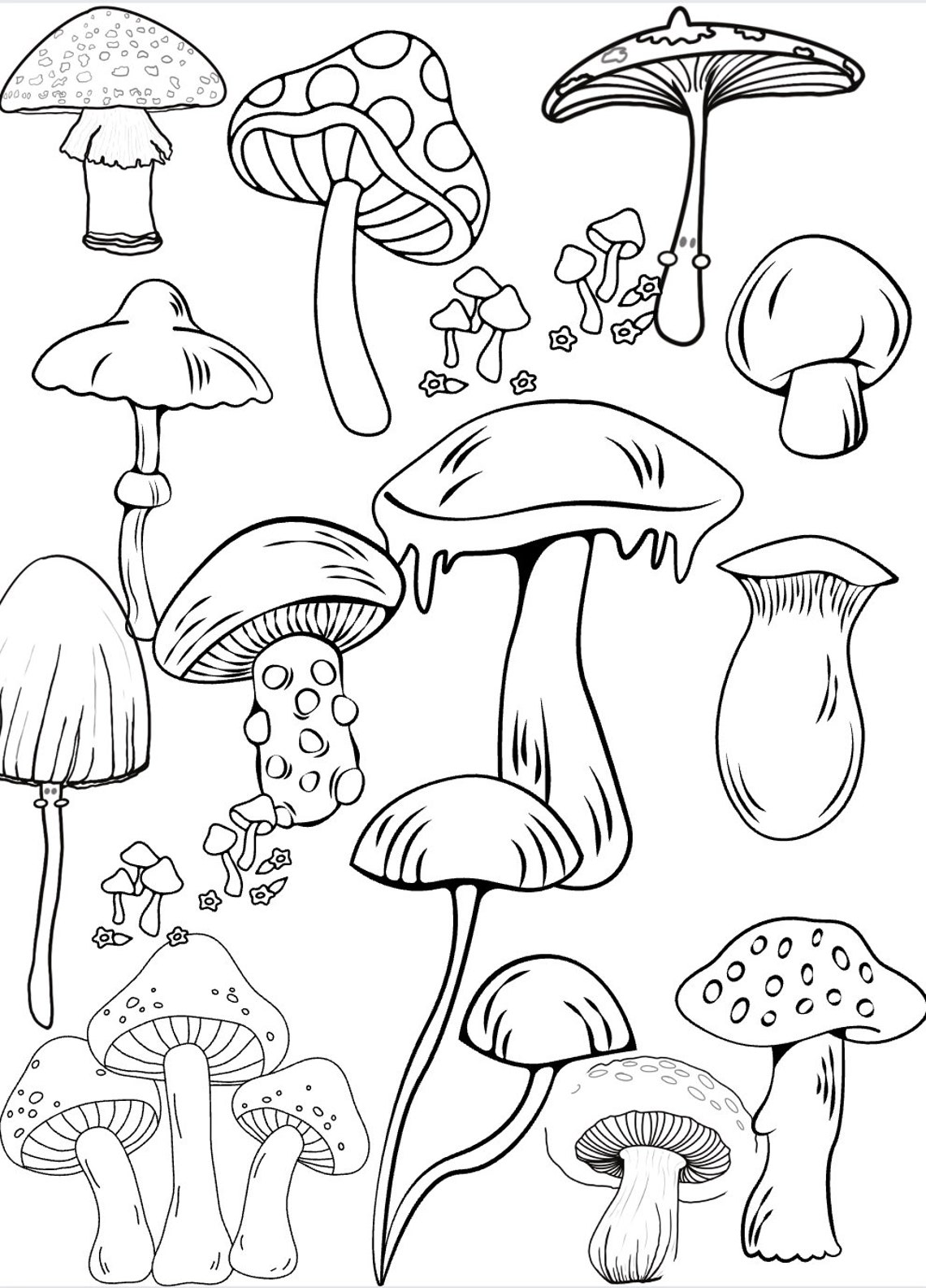 12 Cottage Core Coloring Pages- Fae Core Coloring Pages - Etsy