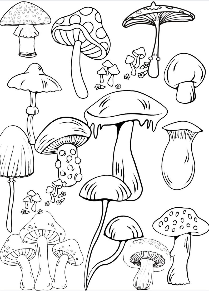 12 Cottage Core Coloring Pages- Fae Core Coloring Pages - Etsy