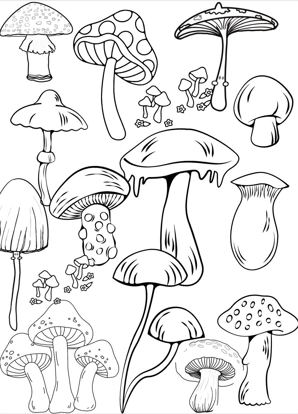 12 Cottage Core Coloring Pages- Fae Core Coloring Pages - Etsy