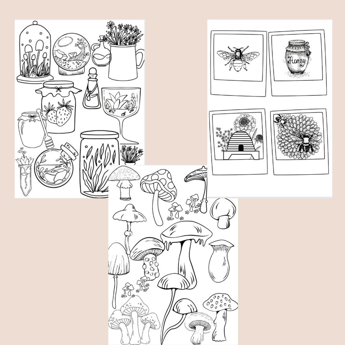 12 Cottage Core Coloring Pages- Fae Core Coloring Pages - Etsy