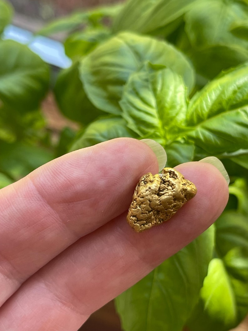NATURAL GOLD NUGGET! - Etsy