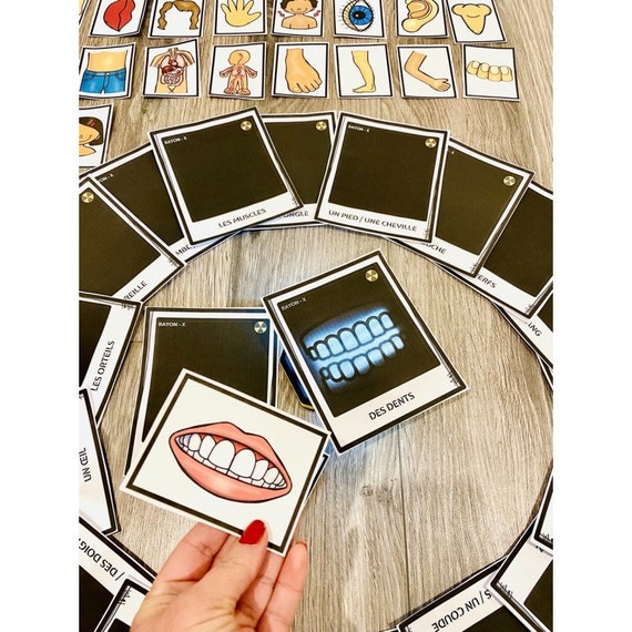 A La Découverte Du Corps Humain Rayons-x. Apprendre Le Corps - Etsy