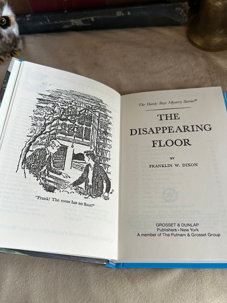 Vintage the Hardy Boys , the Disappearing Floor 1992 - Etsy