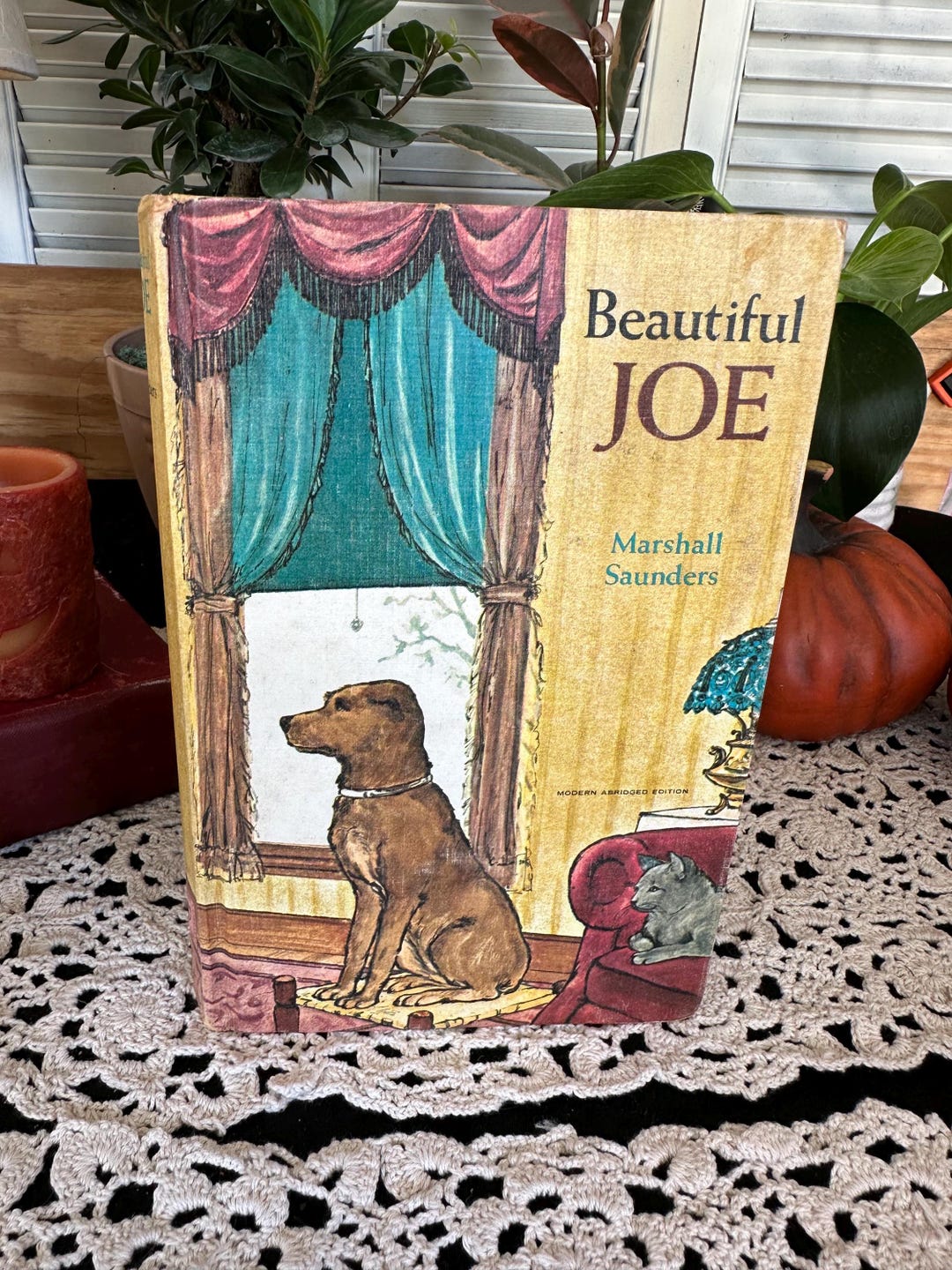 Vintage Beautiful Joe Book 1965 - Etsy